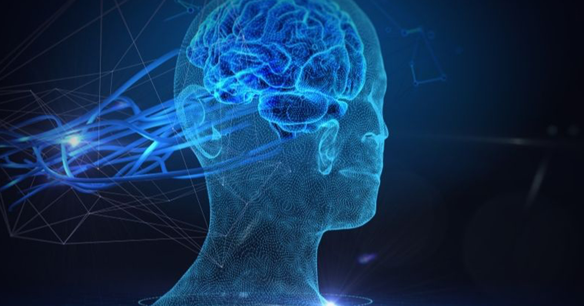 Neuro Science: Beyninizi Nasıl Kullanırsınız?